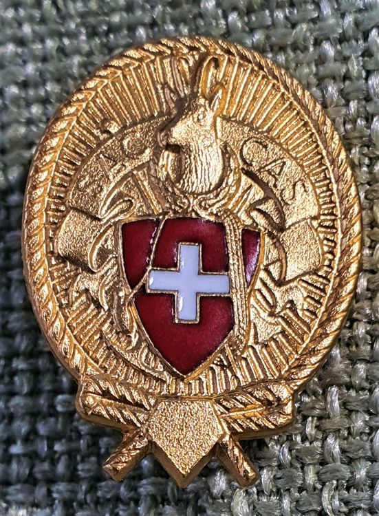 N480 - SAC CAS Schweizer Alpen Club Abzeichen (Gebraucht) in Reinach BL für CHF 15 – mit ...