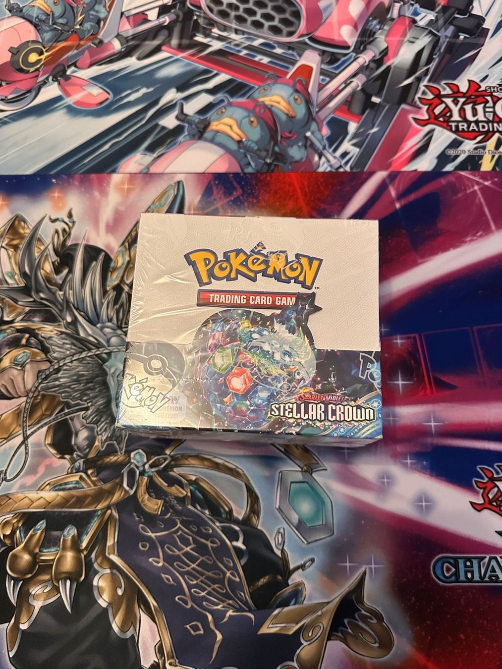 Pokémon Stellar Crown Booster Box Display English (OVP) (Neu und ...