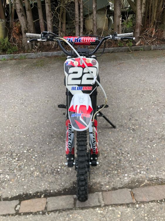 Pit Bike 125ccm | Kaufen auf Ricardo