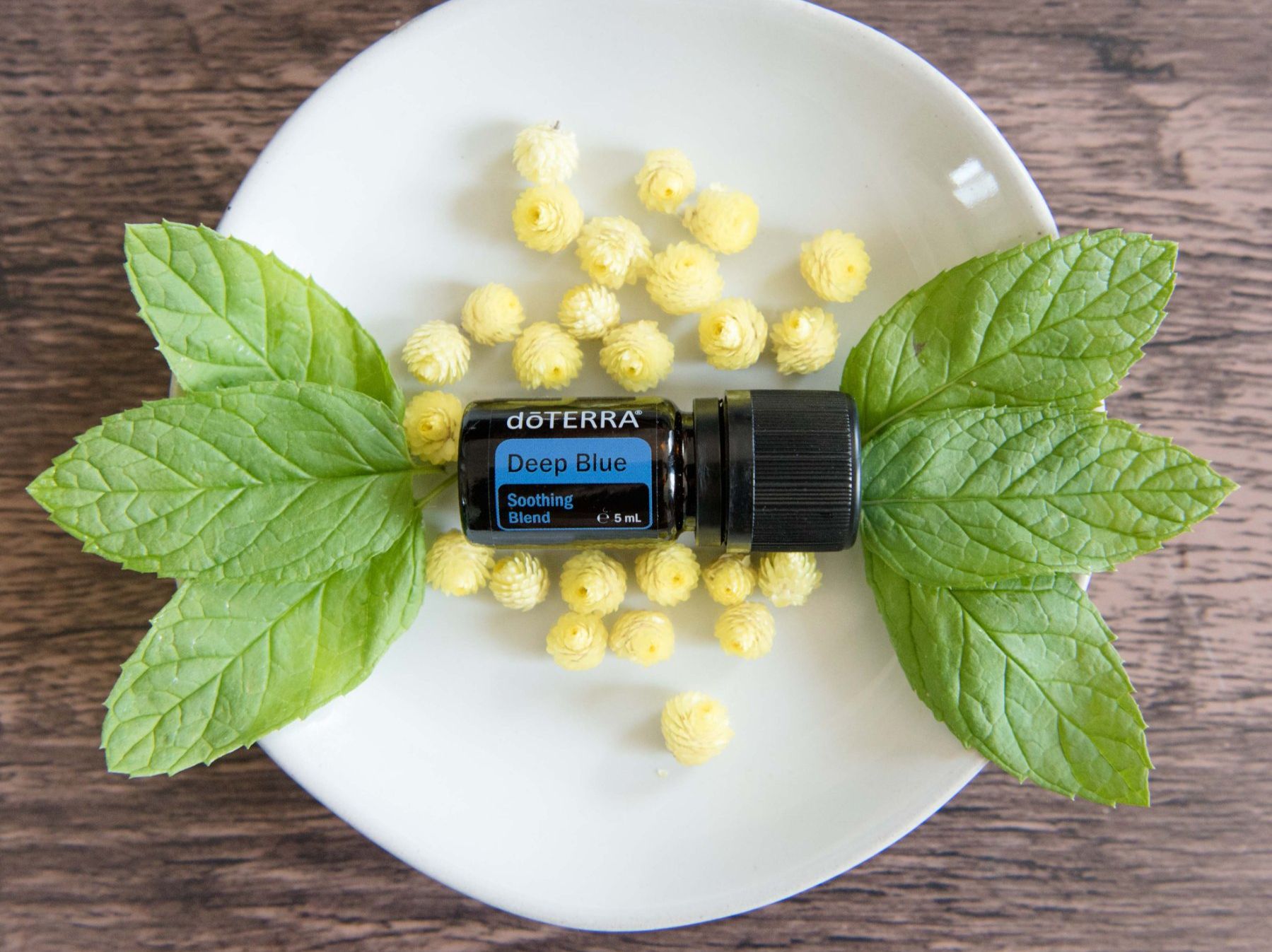 DoTerra Deep Blue Öl, 5ml - wohltuende Entspannung! (Neu und ...