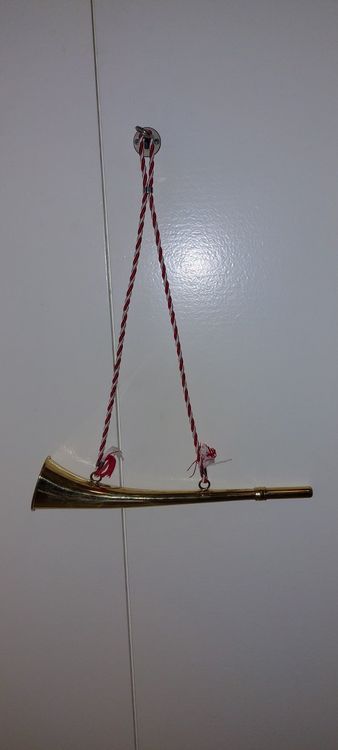 "Martin"Horn/ Feuerwehr Horn (Neu (gemäss Beschreibung)) in dornach für ...