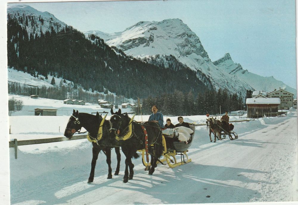 Schlittenausflug in Splügen | Kaufen auf Ricardo