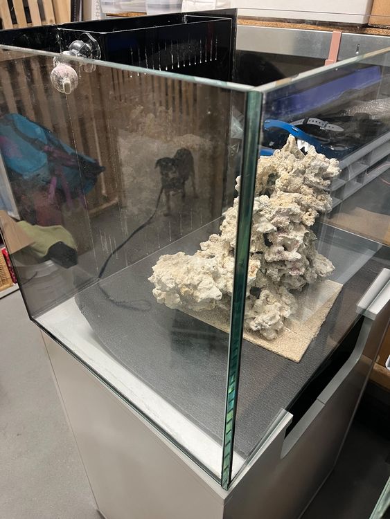 Meerwasseraquarium Aquatlantis Aquaview 65 (Gebraucht) in Luzern für ...