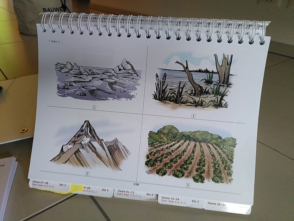 Wortschatztest - PPVT4 (Kinder & Jugendliche) (Gebraucht) in Habsburg ...