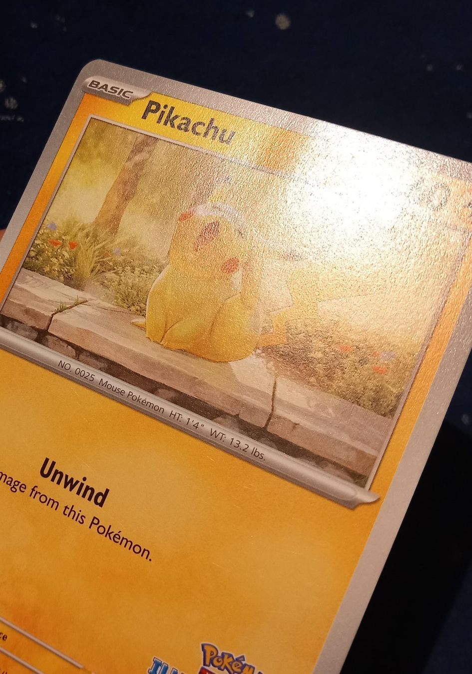 Pikachu Illustration Contest 2024 (EN) SVP Black Star Promo (Gebraucht ...
