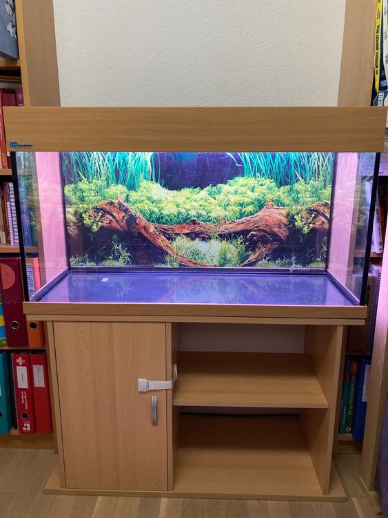 Fabelhafte Aquarium Gebraucht Kaufen Bild