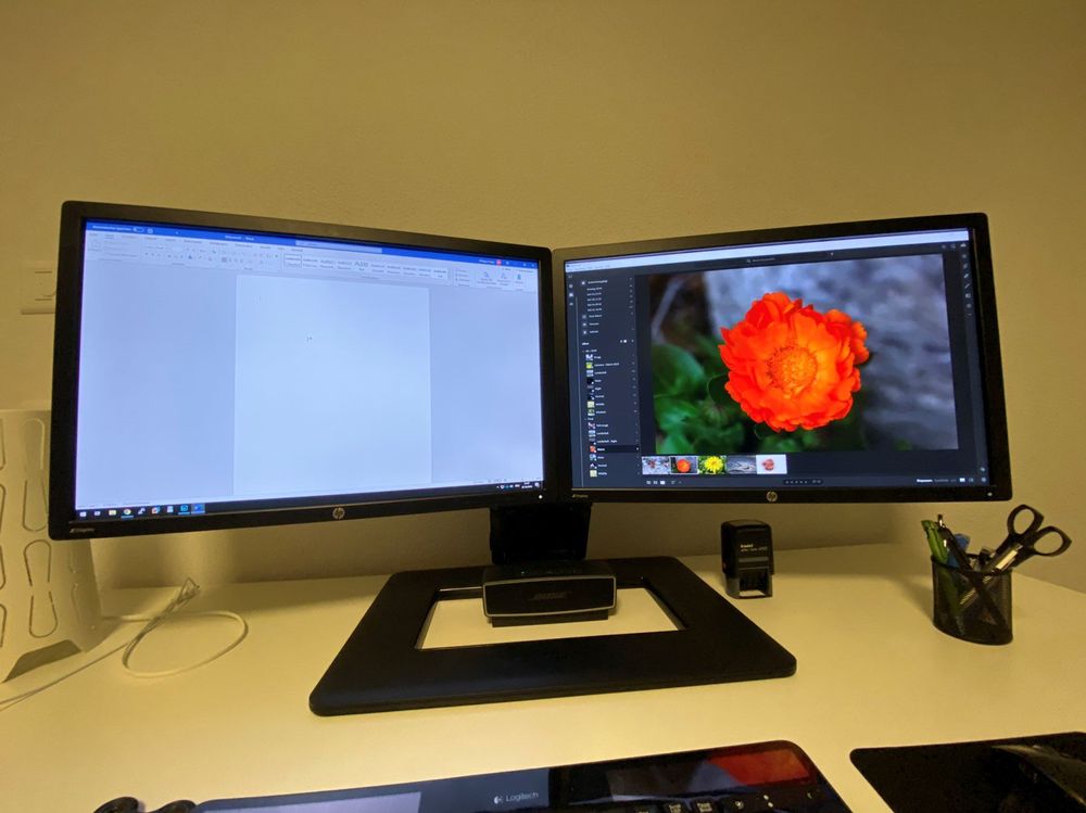 2x HP z24i + HP Dual Monitor Stand (Gebraucht) in Pratteln für CHF 190 ...