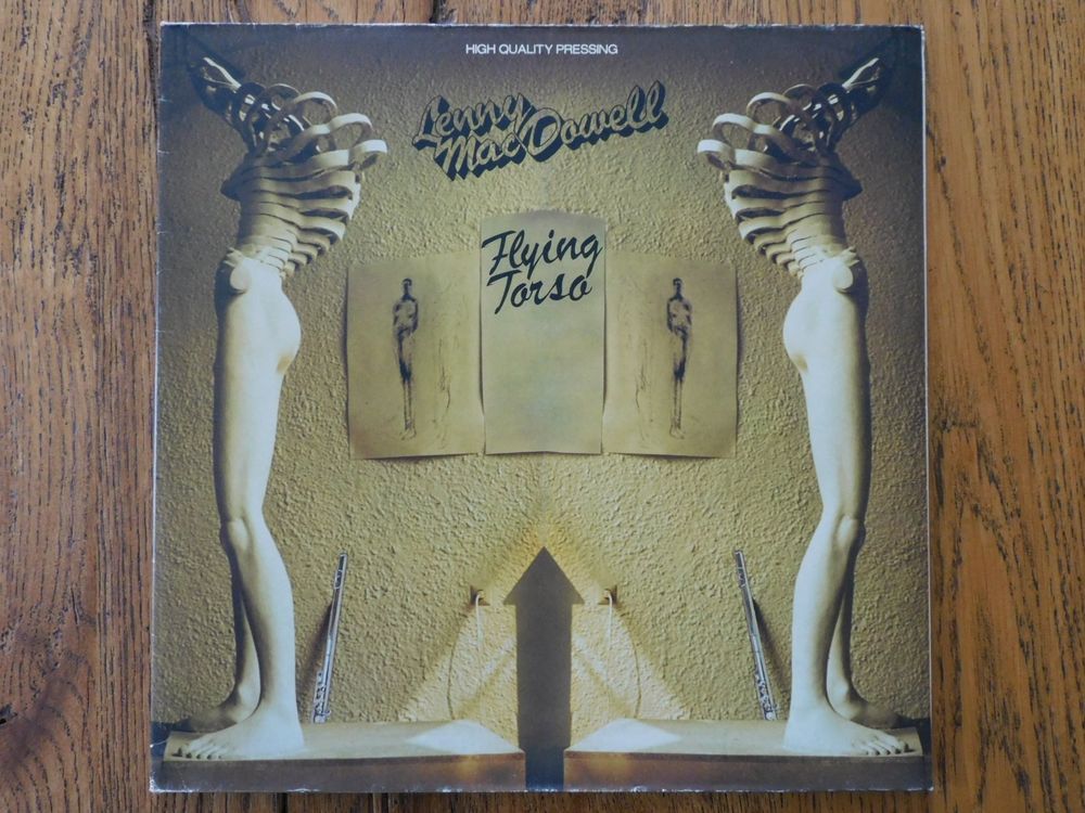 Lenny Mac Dowell - Flying Torso (Gebraucht) in Emmenbrücke für CHF 2 ...