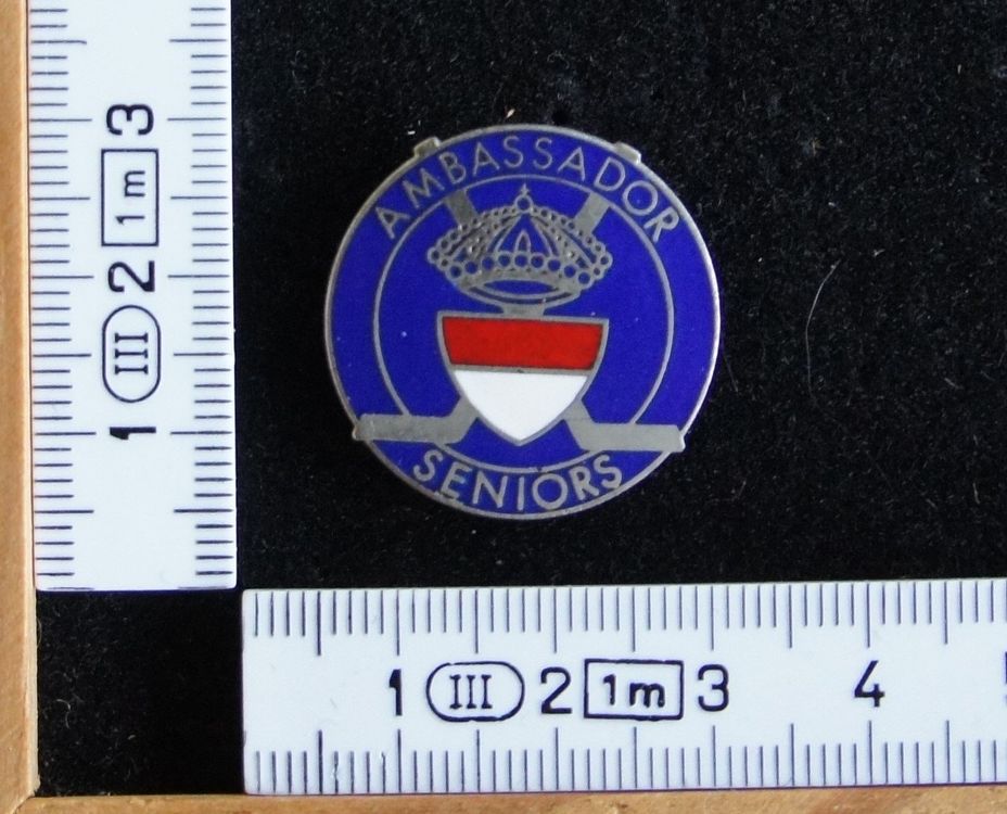 PIN Ambassador Seniors Solothurn Eishockey #1026 (Gebraucht) in Einigen ...
