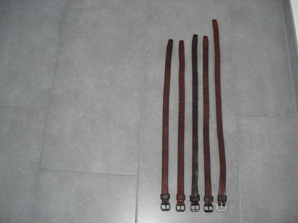 5 Stk. Packriemli von der CH-Armee echt Leder (Gebraucht) in Root für ...