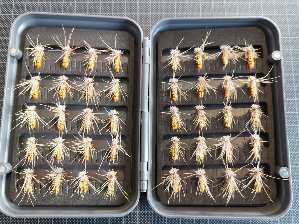 Fliegenköder mit Box | Kaufen auf Ricardo