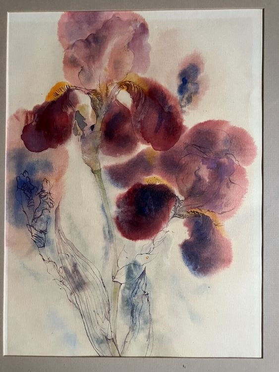 Iris, Frühlingsboten, Aquarell | Kaufen auf Ricardo