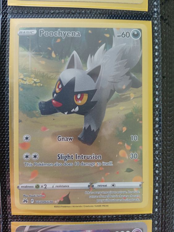 Poochyena - Trainer Gallery (Gebraucht) in für CHF 3.5 – mit Lieferung ...