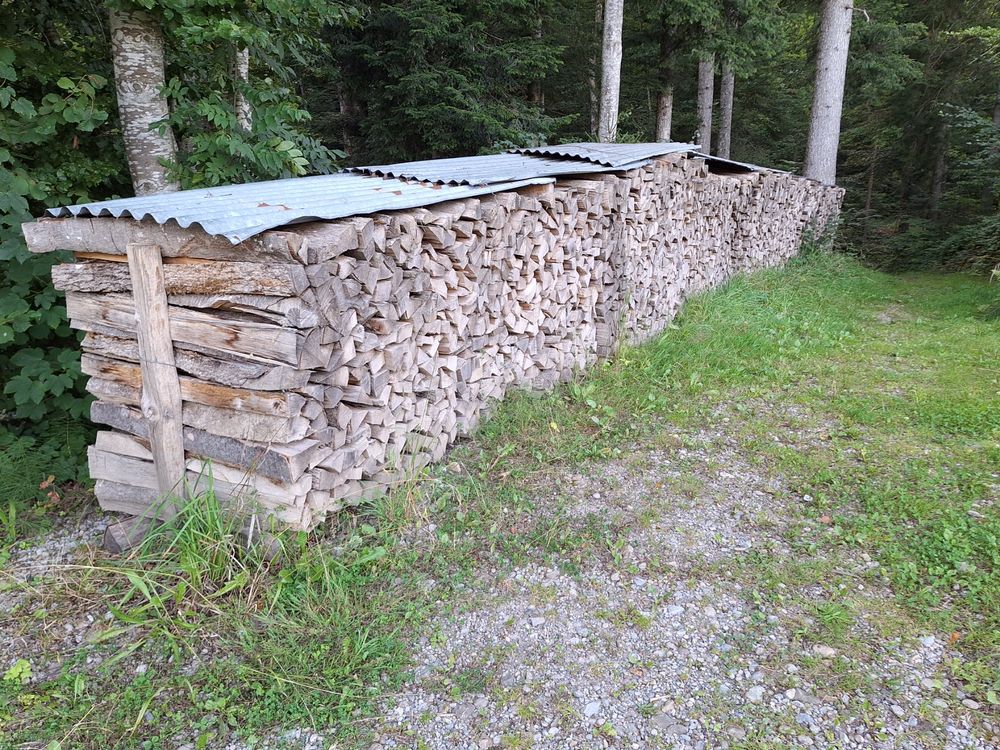 Brennholz Laubholz/Hartholz (Esche, Buche) (Neu (gemäss Beschreibung ...