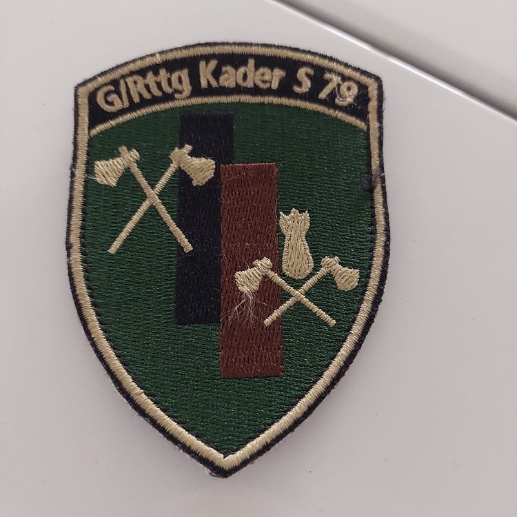 Badge Schweizer Armee G/ RTTG Kader S 79 (Gebraucht) in Wauwil für CHF ...