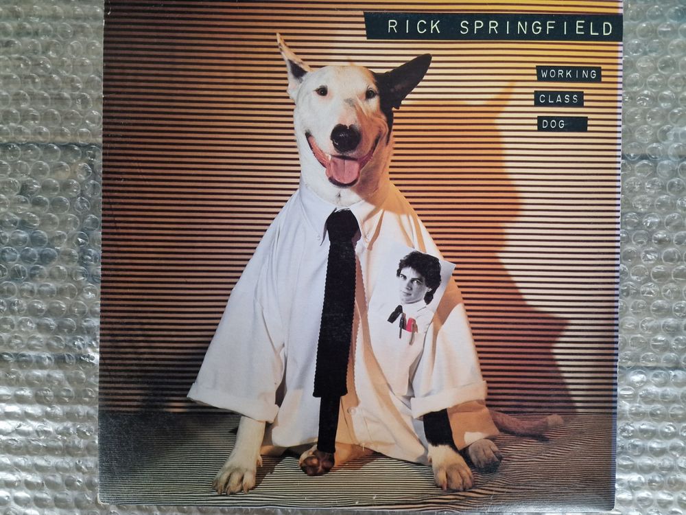 Rick Springfield LP – Working Class Dog | Kaufen auf Ricardo