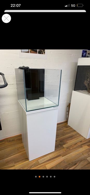 Meerwasser Aquarium (Gebraucht) in Adliswil für CHF 300 – nur Abholung auf Ricardo kaufen