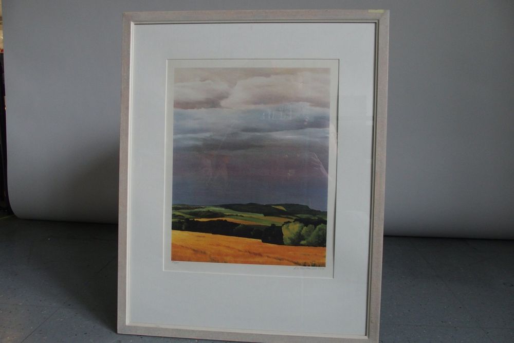 Kunstdruck? Landschaft 71/80 Kurt von Ballmoos 1991 (Gebraucht) in ...