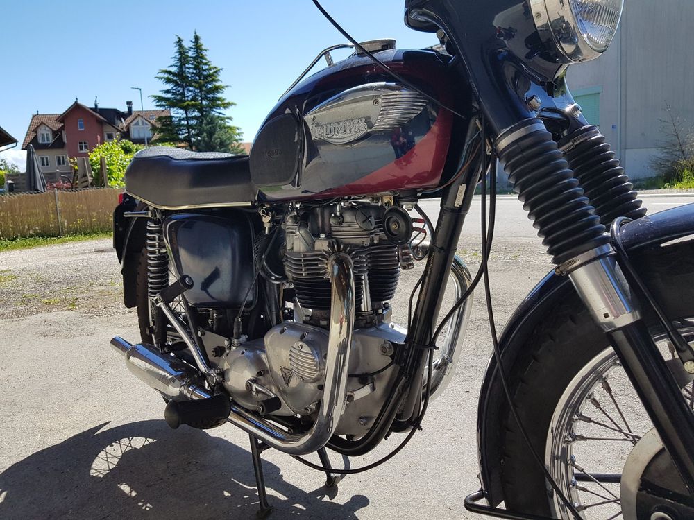 Echter Oldtimer! Triumph Thunderbird 6T 650 ccm. Jg. 1966 (Gebraucht ...