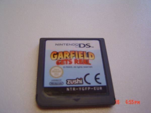 Garfield Gets Real - DS Nintendo (Gebraucht) in Pambio Noranco für CHF ...