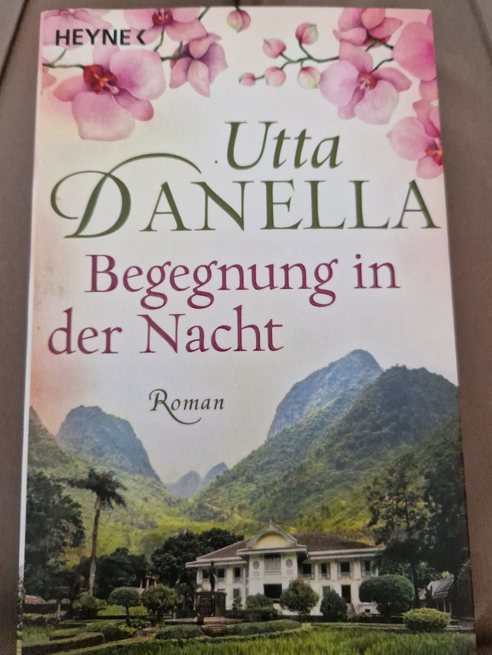Utta Danella Begegnung in der Nacht 🌸🌴📖 (Gebraucht) in Neuhausen am ...