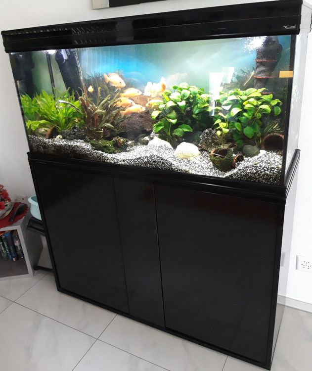 Süsswasseraquarium | Kaufen auf Ricardo