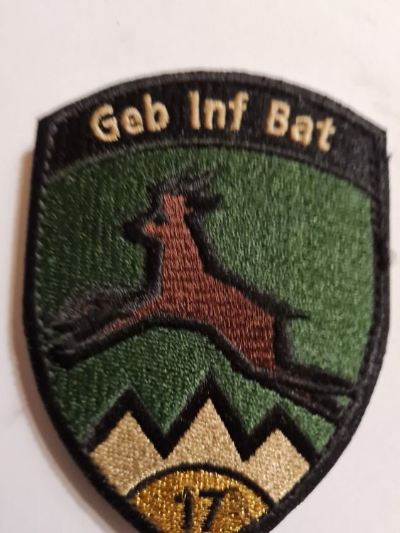 Infanterie Geb INF Bat 17 Stab Gold Klett | Kaufen auf Ricardo