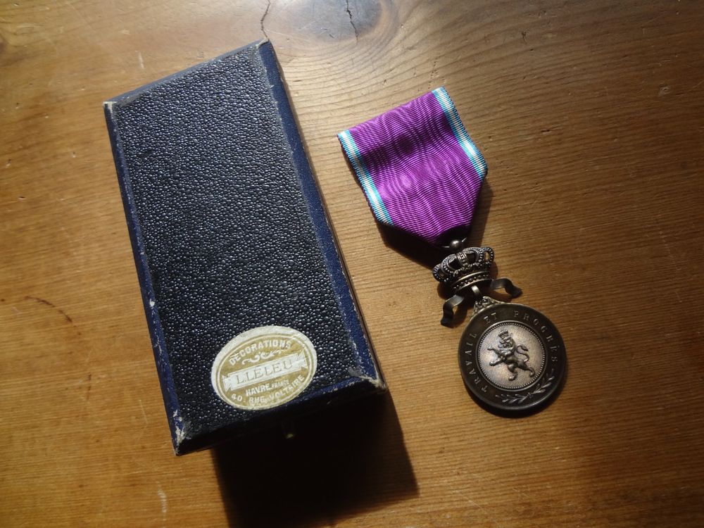MEDAILLE DE MERITE BELGE TRAVAIL ET PROGRES (Gebraucht) in für CHF 8 ...
