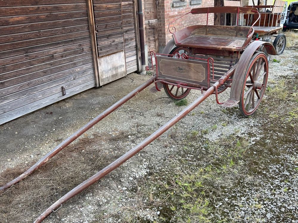 Kutsche, 2 Rad, mit Geschirr (Chomet) Garagenfund (Gebraucht) in ...