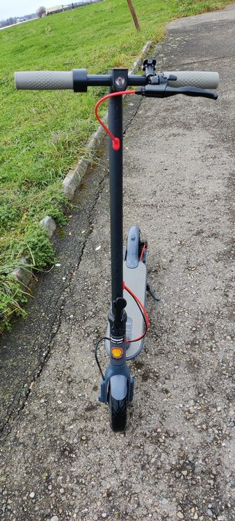 Aovopro el. Scooter (Gebraucht) in Romanshorn für CHF 185 – mit ...