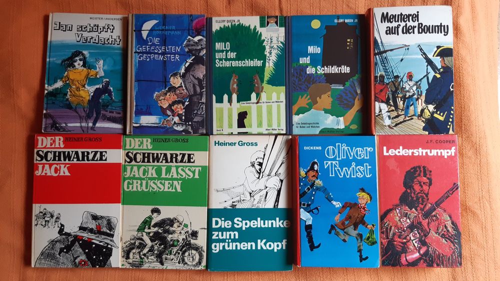 Spannende Jugendbücher (Gebraucht) in Amriswil für CHF 6 – nur Abholung ...