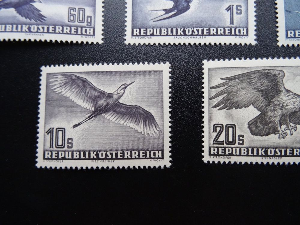 Briefmarken Österreich Flugpost 1950/53 Vögel postfrisch (Neu (gemäss Beschreibung)) in Lupfig ...