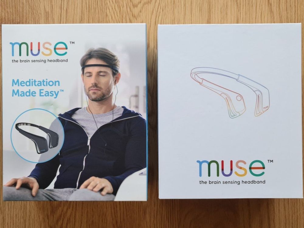 Muse Analyze Your Brainwaves In Real Time While You Medita Kaufen