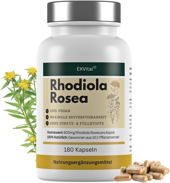 Rhodiola Rosea 600 mg – EXVital® 180 vegane Kapseln (Neu und ...