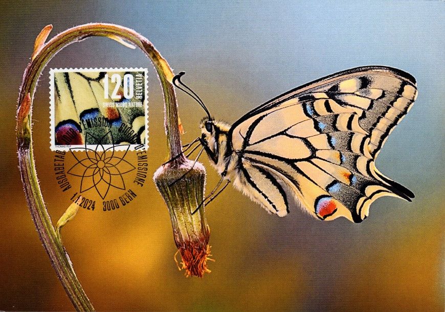 Maximumkarte Naturmuster - Schmetterling | Kaufen auf Ricardo