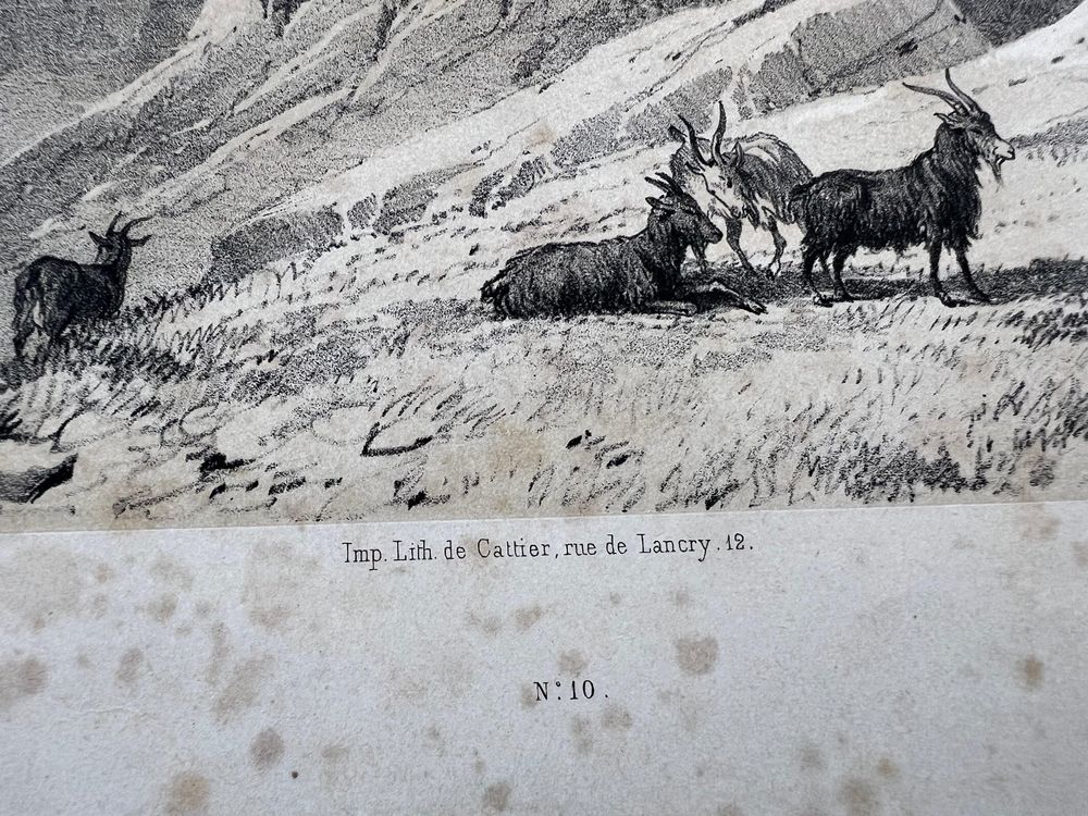 Alexandre Calame (1810-1864) Lithographie mit Stempel (Gebraucht) in Neuhausen am Rheinfall für ...