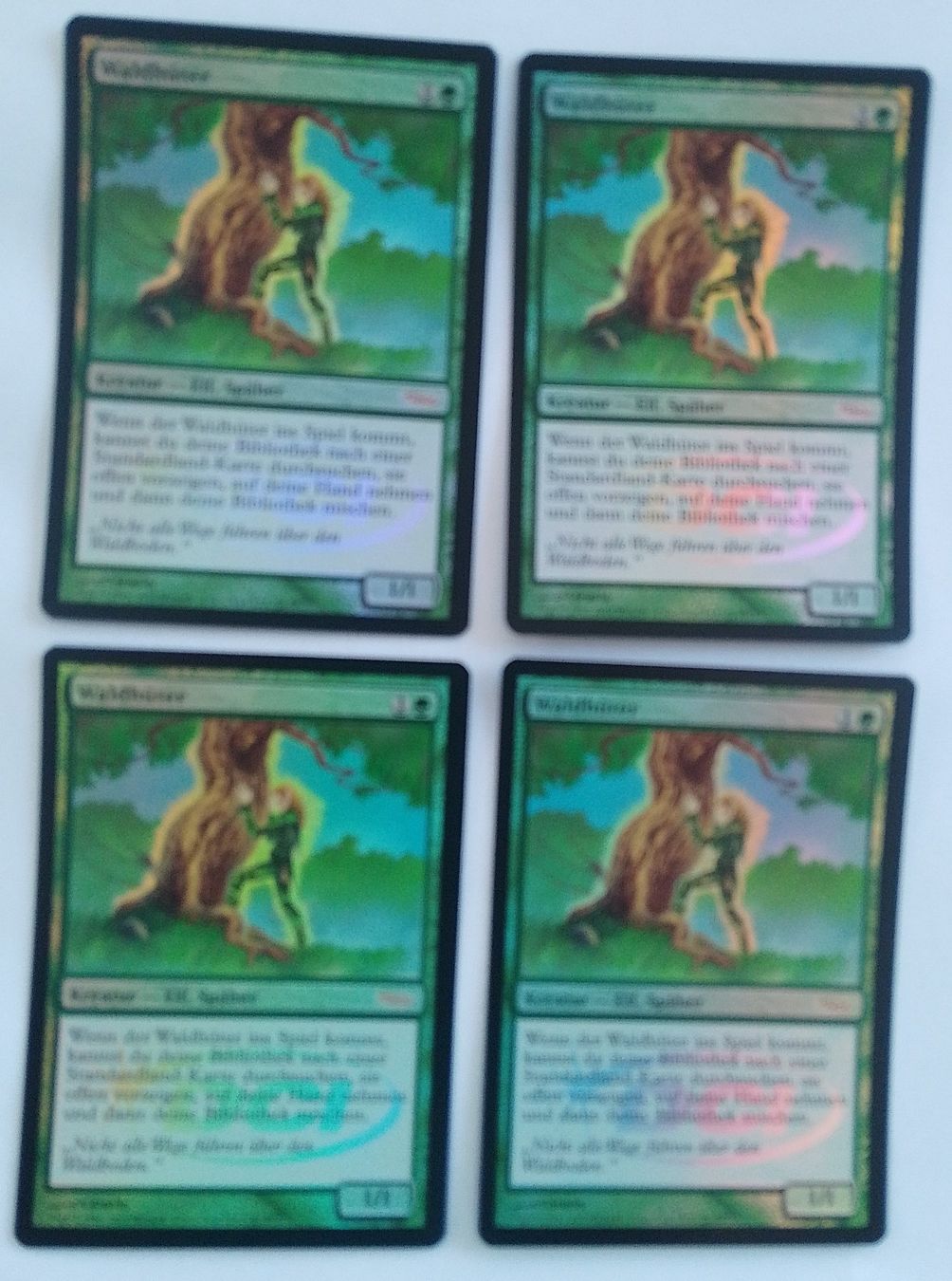 6 x Magic the Gathering Karte Waldhüter foil Gateway Promos (Gebraucht ...