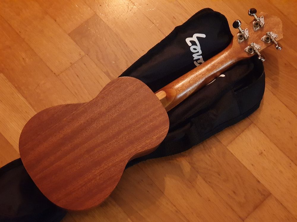 Ukulele Ibanez (Neu (gemäss Beschreibung)) in Kriens für CHF 45 – mit ...