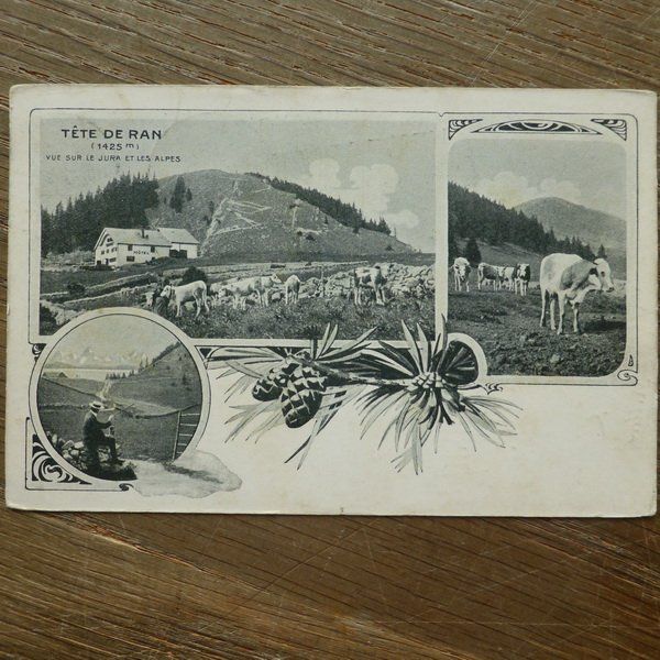 1914 AK TETE - de - RAN / Hotel wies mal war........ (Gebraucht) in ...