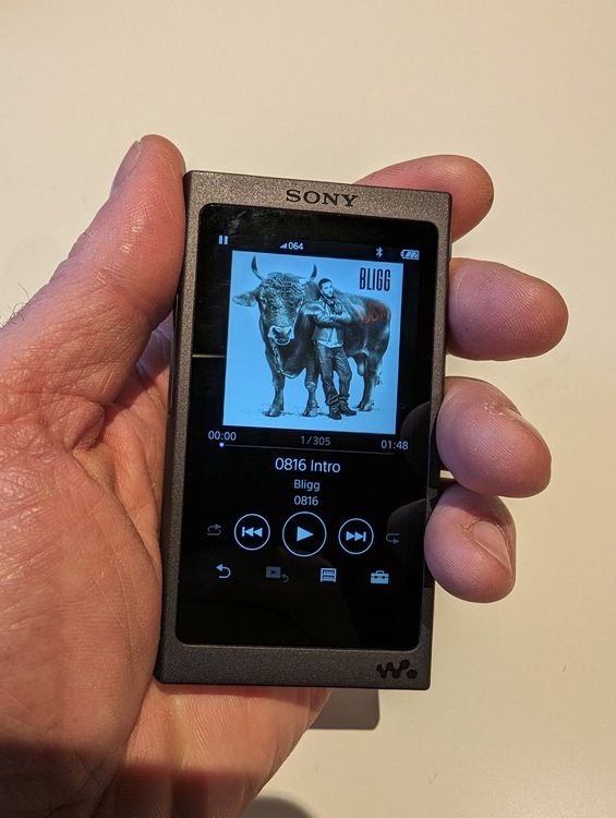Sony Walkman NW-A45 (MP3 Player) inkl. 128 GB MicroSD Card (Gebraucht ...