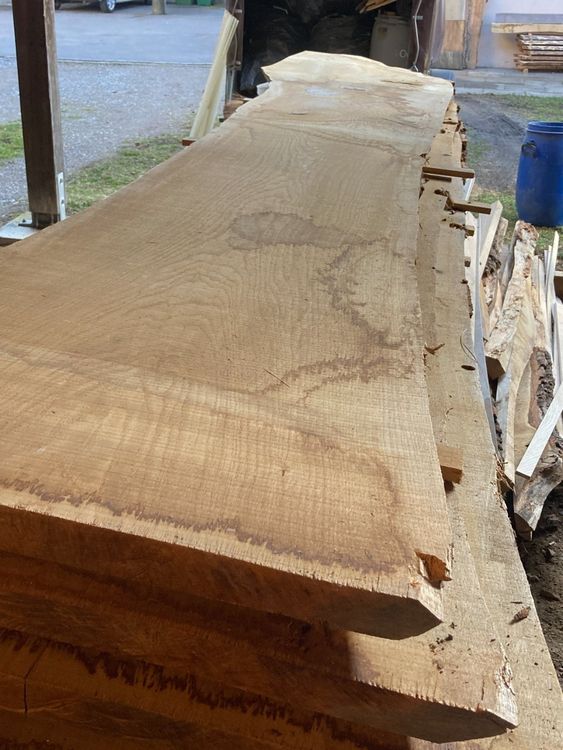 Eichenholz aus dem Kanton Zürich | Kaufen auf Ricardo