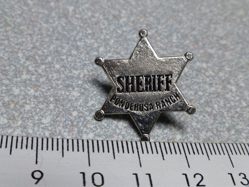 PIN PINS POLIZEI POLICE POLIZIA USA Sheriff Stern Abzeichen | Kaufen auf Ricardo