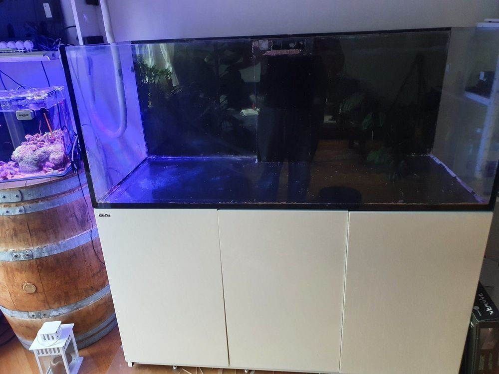 PREIS GESENKT!! Red Sea Reefer 625 XXL W | Kaufen auf Ricardo