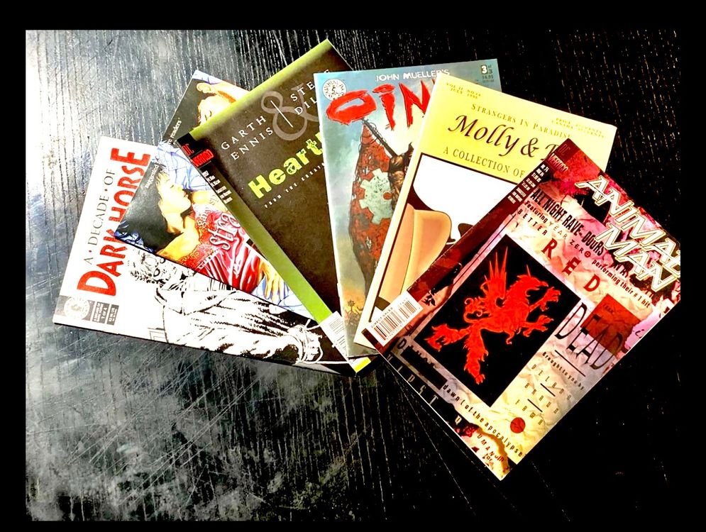 7 Comics Konvolut, Heartländer, Animal Man und mehr (Gebraucht) in ...
