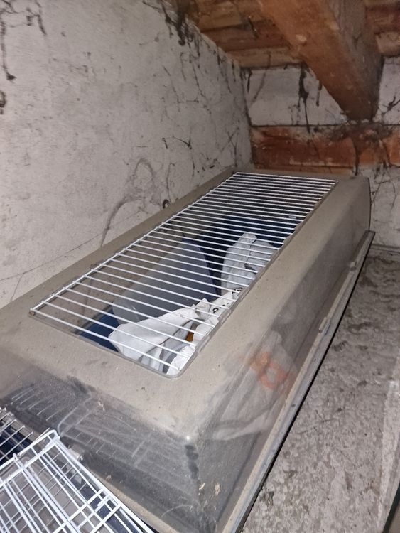 Käfig Meerschwein Meersdhweinkäfig | Kaufen auf Ricardo