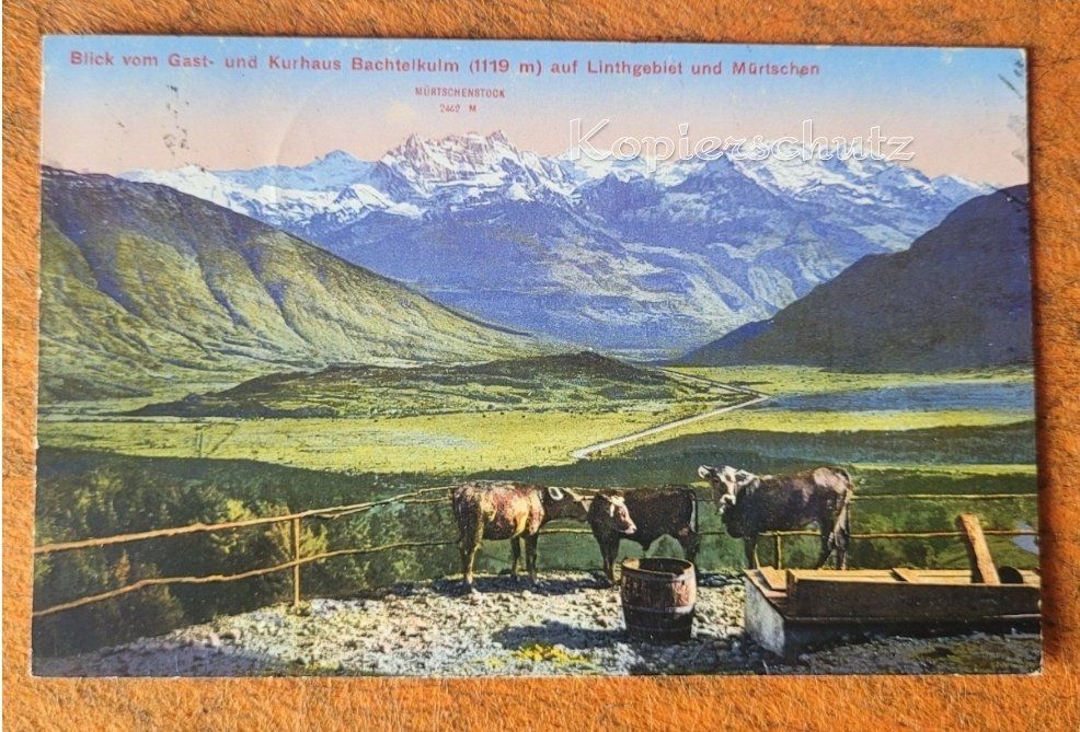 Zürich, Obstalden, Bachtel Kulm Gast und Kurhaus, Kühe 1912 | Kaufen auf Ricardo