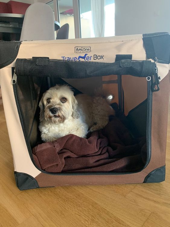 Soft Hundebox Transportbox Travellerbox Anione (Gebraucht) in Stein am ...