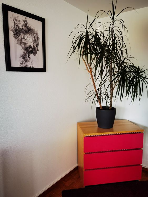 MALM Kommode Pink | Kaufen auf Ricardo