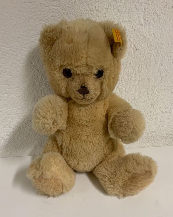 Steiff-Teddy, mit Knopf/Fahne (Gebraucht) in Zürich für CHF 10 – mit ...