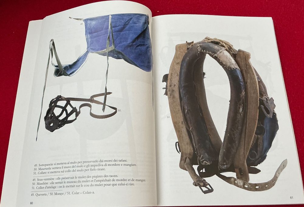 Altes Handwerk: "Le cose del nonno" - Aostatal (Gebraucht) in Naters ...